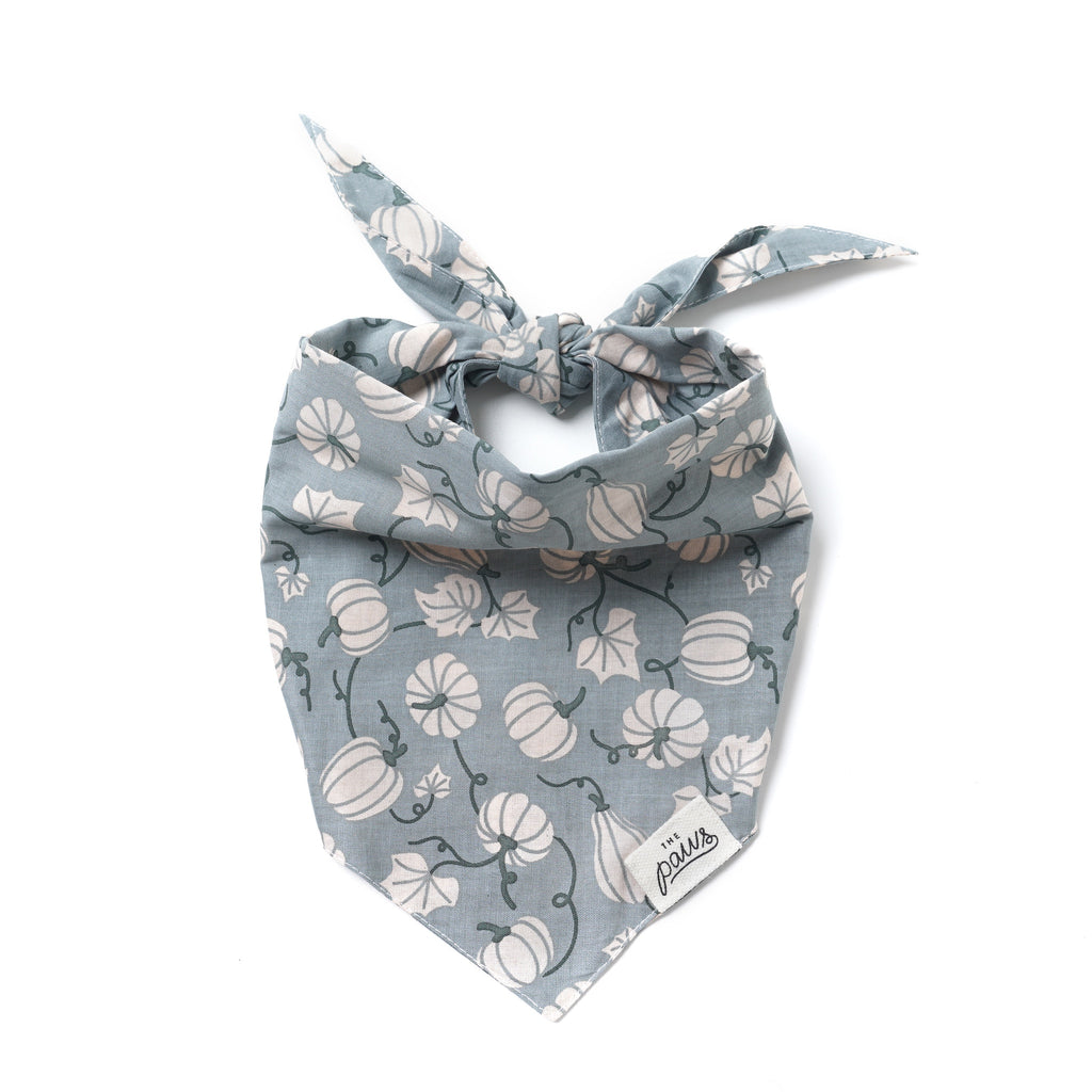 All Bandanas – The Paws