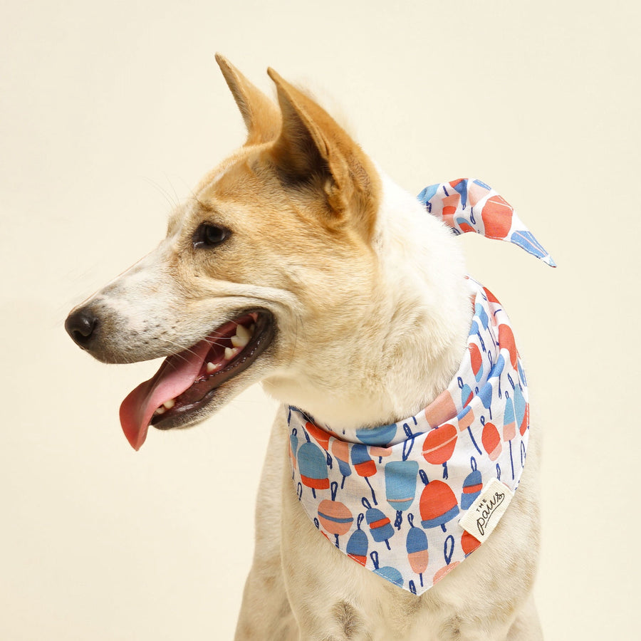 All Bandanas – The Paws
