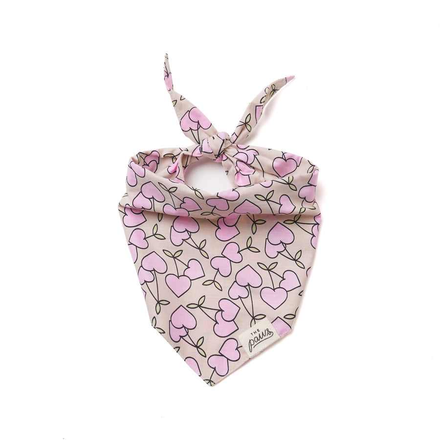 All Bandanas – The Paws