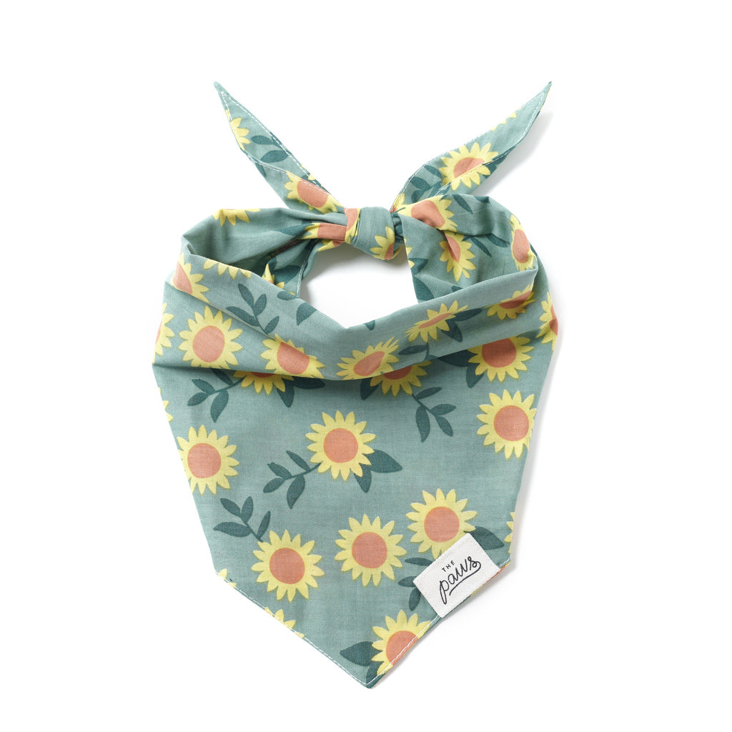 All Bandanas – The Paws