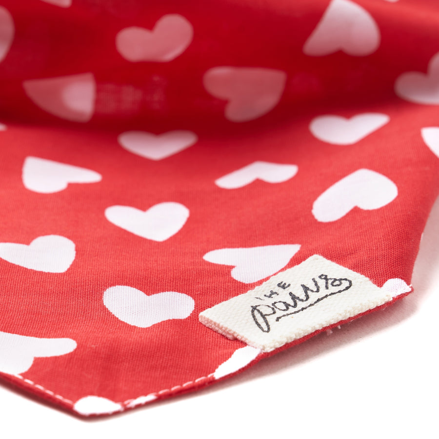 All Bandanas – The Paws
