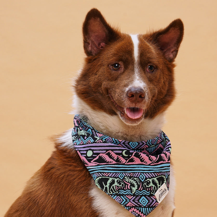 All Bandanas – The Paws